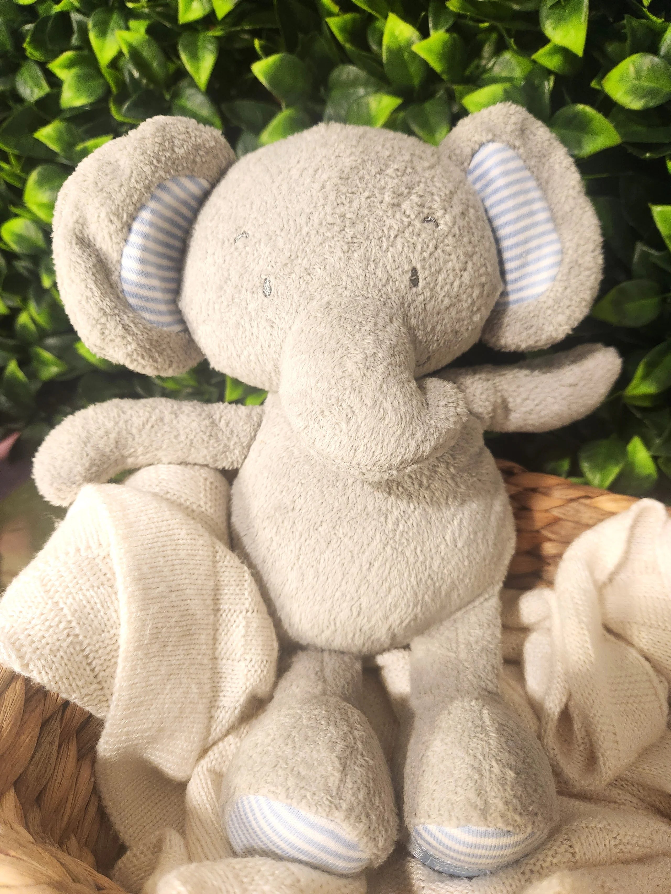 Eli Elephant – Hey Little Moose